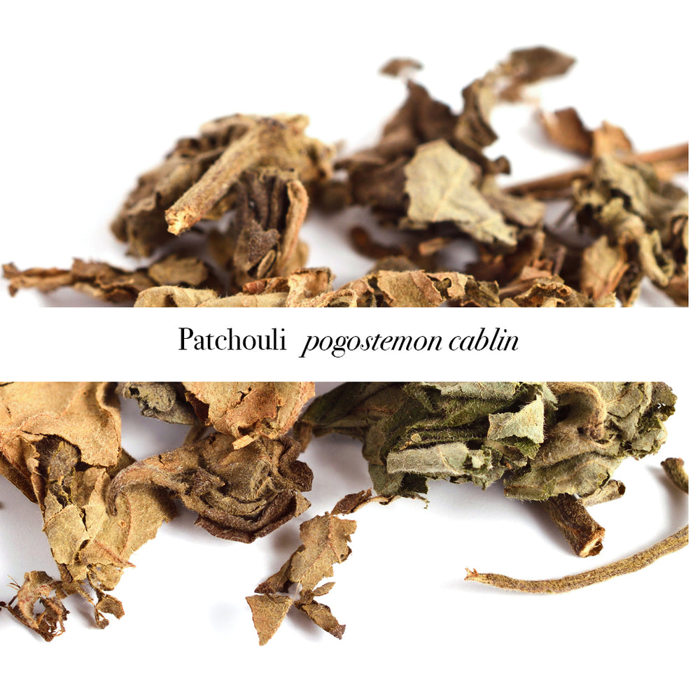 Patchouli Essential Oil, 10ml - Grounding Pure Aromatherapy Oil ...